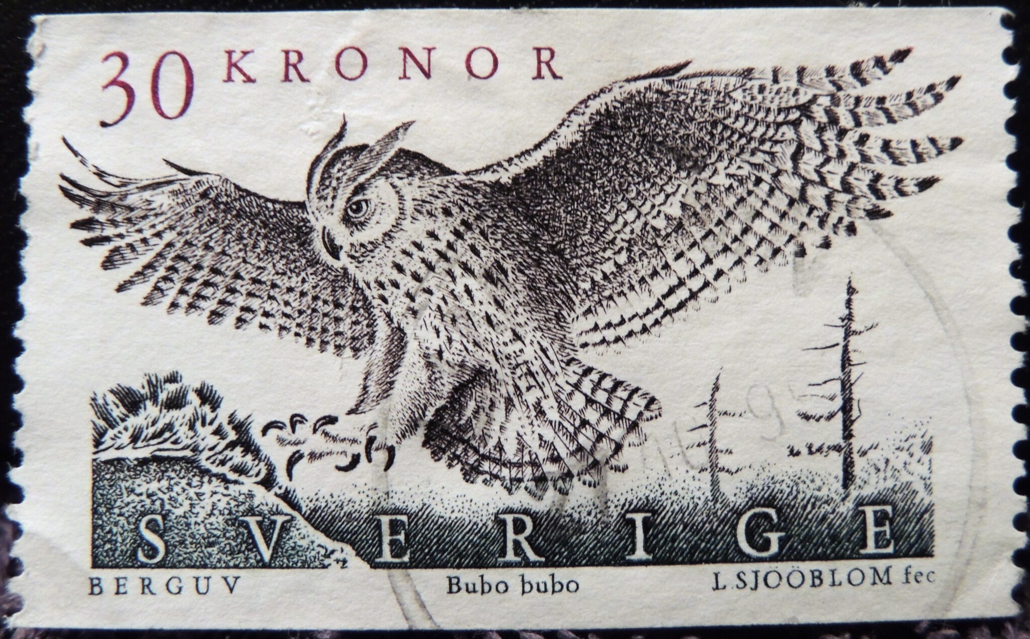 Blaue Mauritius – Briefmarkenverein Singen